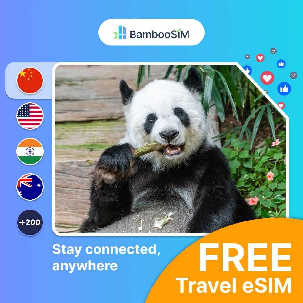 Complimentary 1GB Travel eSIM From BambooSIM
